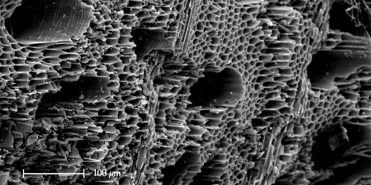 How Biochar Builds Drought Resilience | Viochar